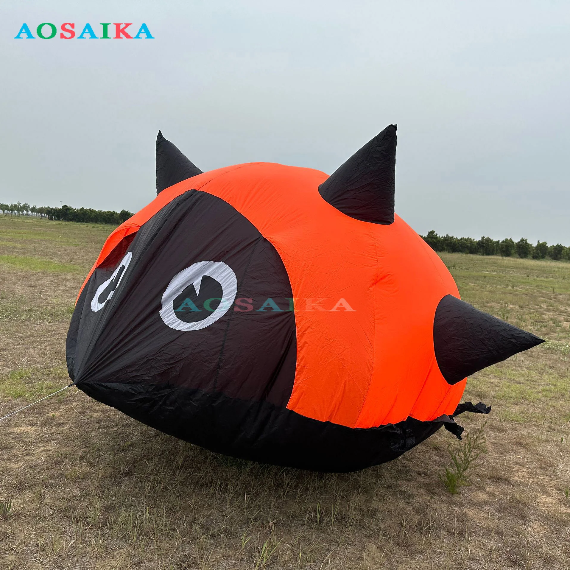 New Arrival Soft Inflatable 3M Ground Kite 40d ripstop nylon For Adults ...