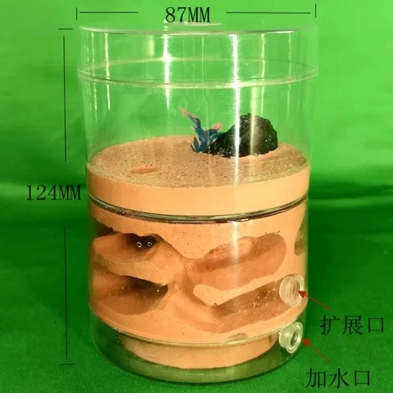 Store Home Products Feedback