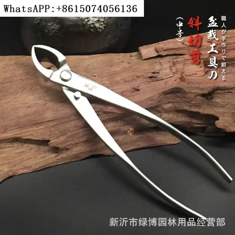 Bonsai modeling tools - Oblique pliers for cutting forked branches and ...