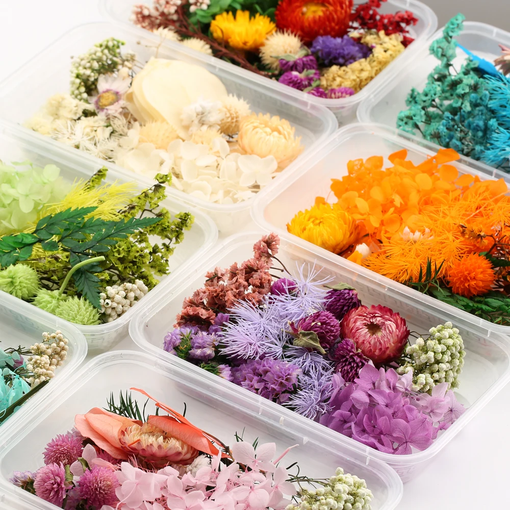 DIY-Real-Natural-Dried-Flowers-Artificial-Plant-for-Candles-Mold-Epoxy ...