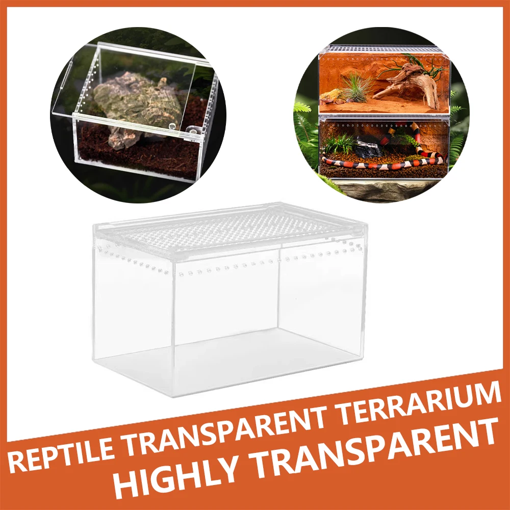 Reptile-Acrylic-High-Transparency-Breeding-Box-Gecko-Lizard-Horned-Frog ...