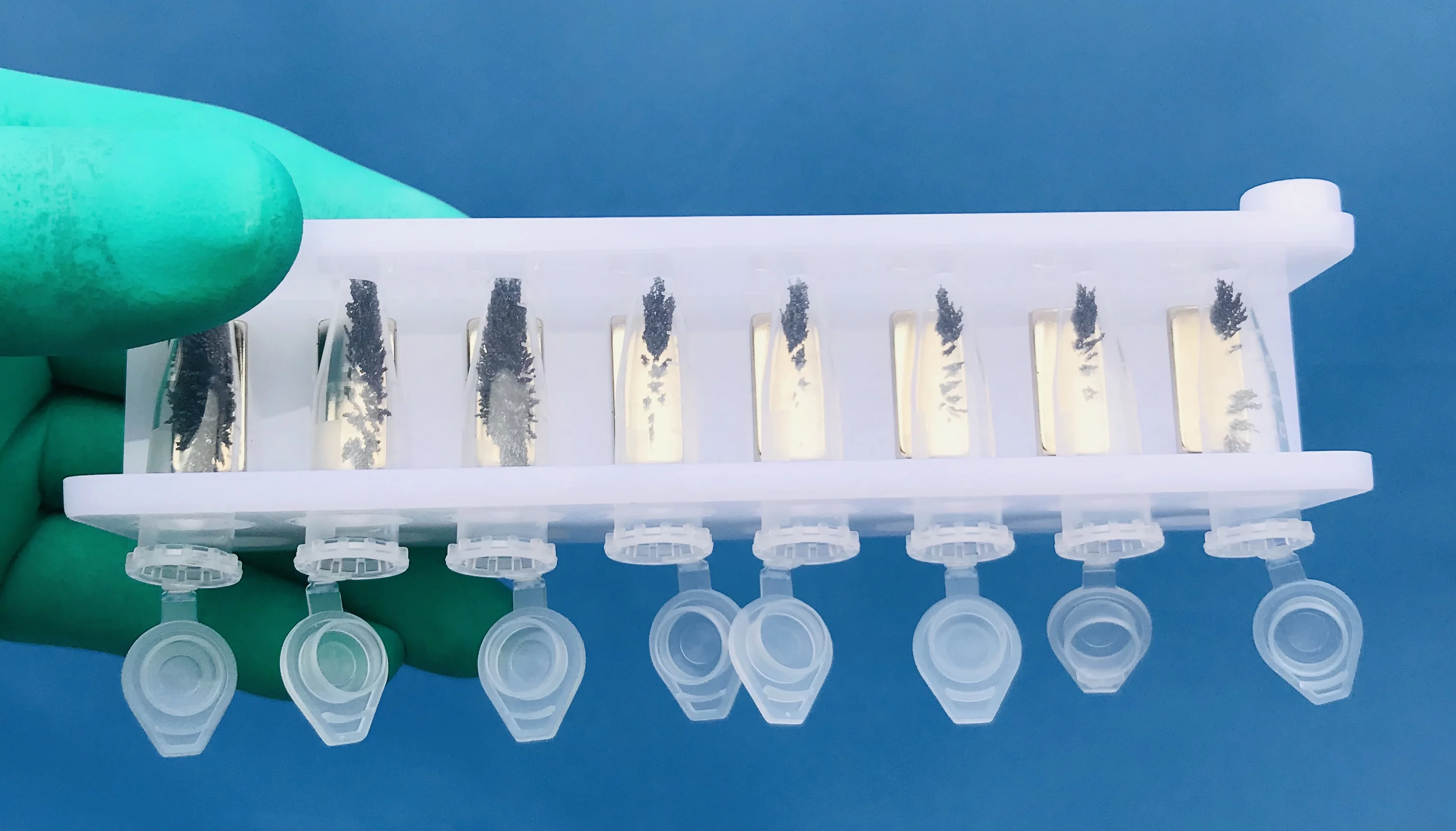 Centrifuge Tube With Dna