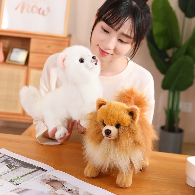 23cm-Simulation-Pomeranian-Kawaii-Fluffy-Plush-Stuffed-Dog-High-Quality ...