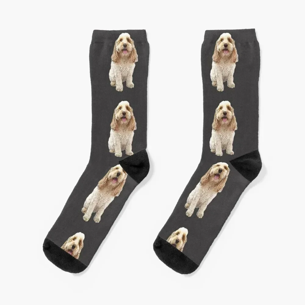 Cockapoo-Cockerpoo-Cutie-Doodle-Dog-Socks-custom-sports-compression ...