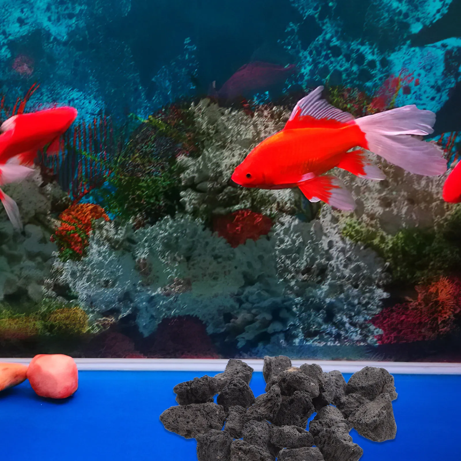 1Pack Natural Volcanic Stone for Fish Tank Decoration Volcanic Rocks ...