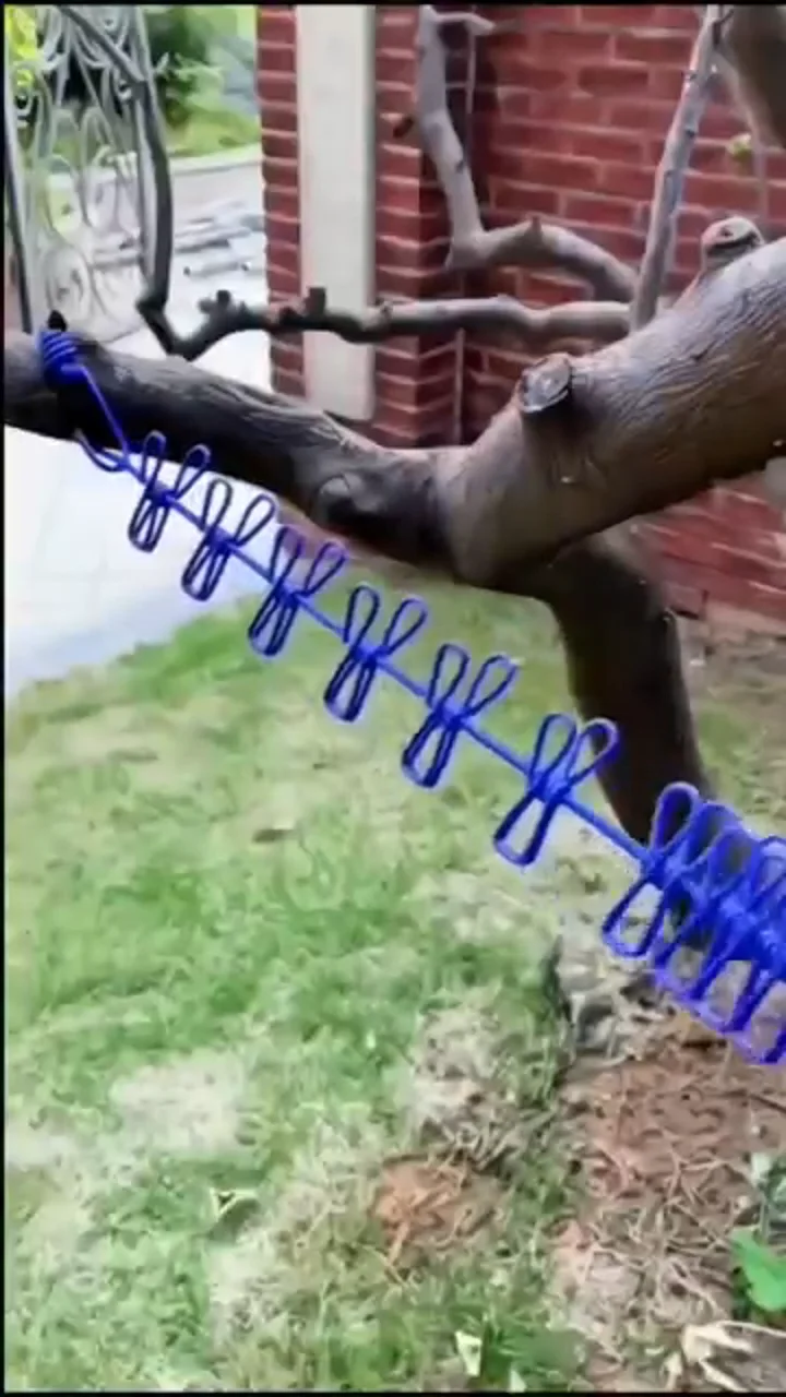 12 Clip Cloth Drying Rope, Strong Portable Laundry Hanger | Daraz.com.np