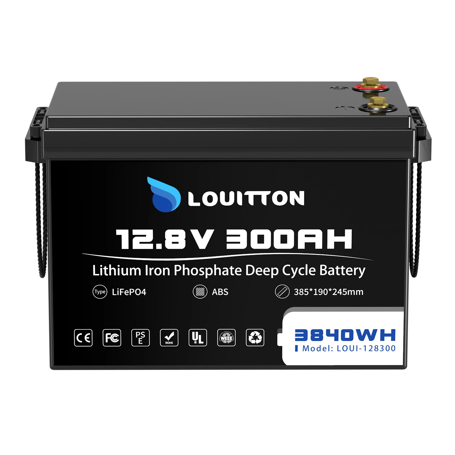 LiFePO4-12V-300Ah-Lithium-3840Wh-Battery-with-BMS-6000-Cycles-for ...