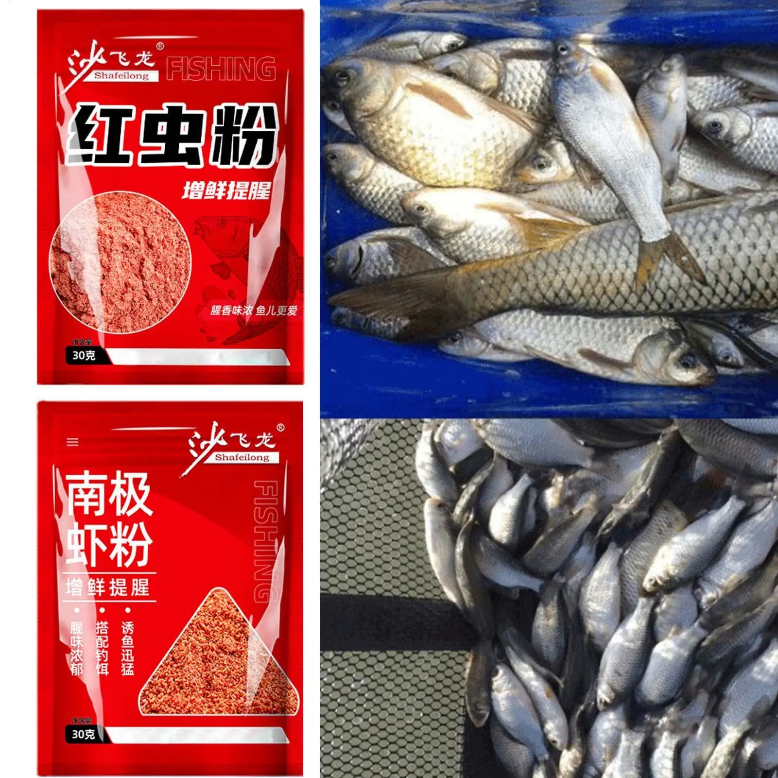 What is Fish Bloodworm and How to Use It for Effective Fishing?