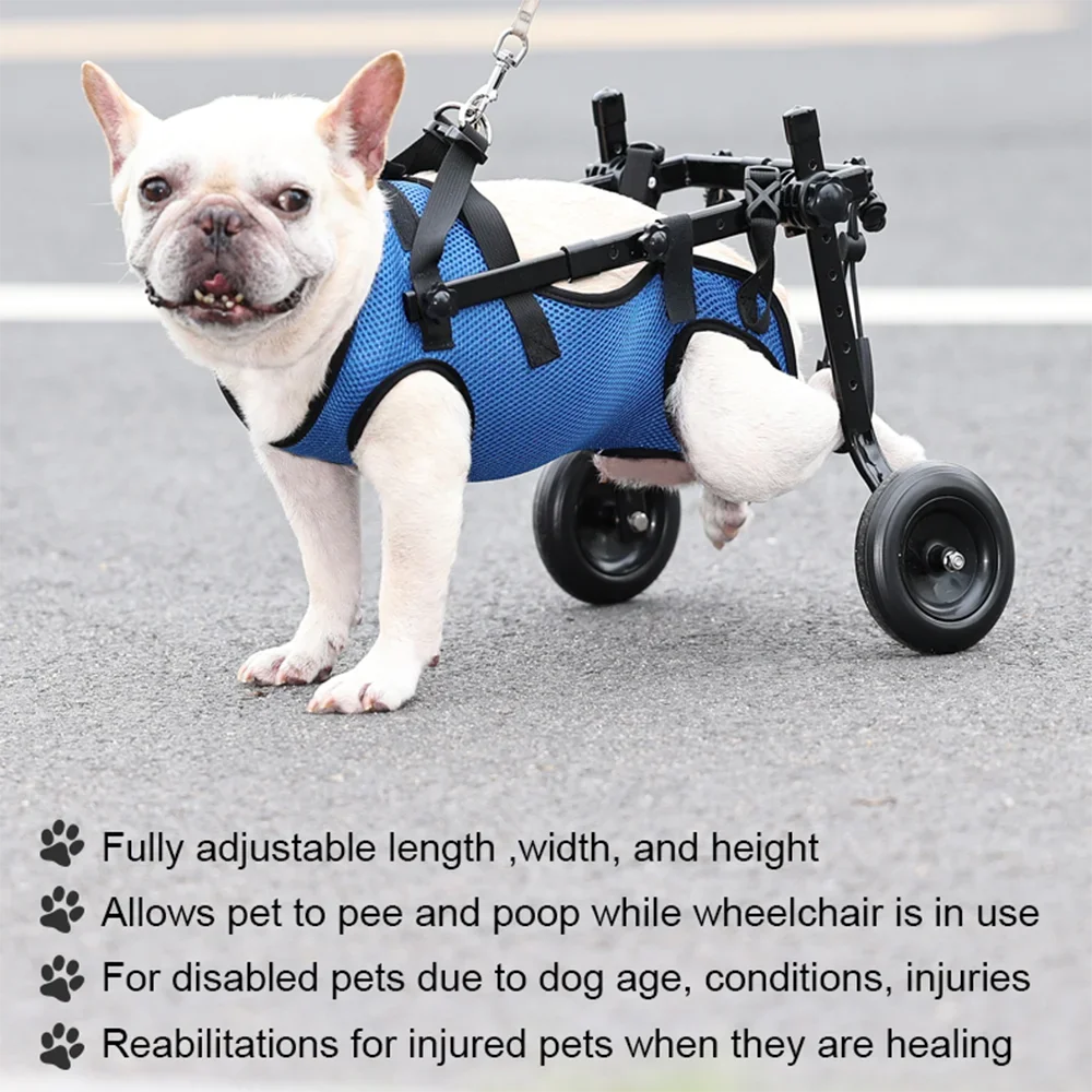 Ajust-vel-Pet-Walk-Booster-para-c-o-e-gato-Reabilita-o-Aid-Car ...