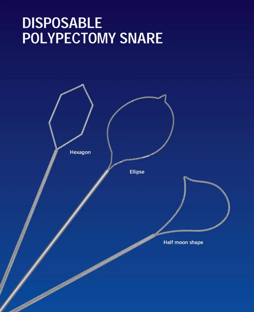 DISPOSABLE POLYPECTOMY SNARE, Digestive Endoscopy Diagnosis Accessories ...