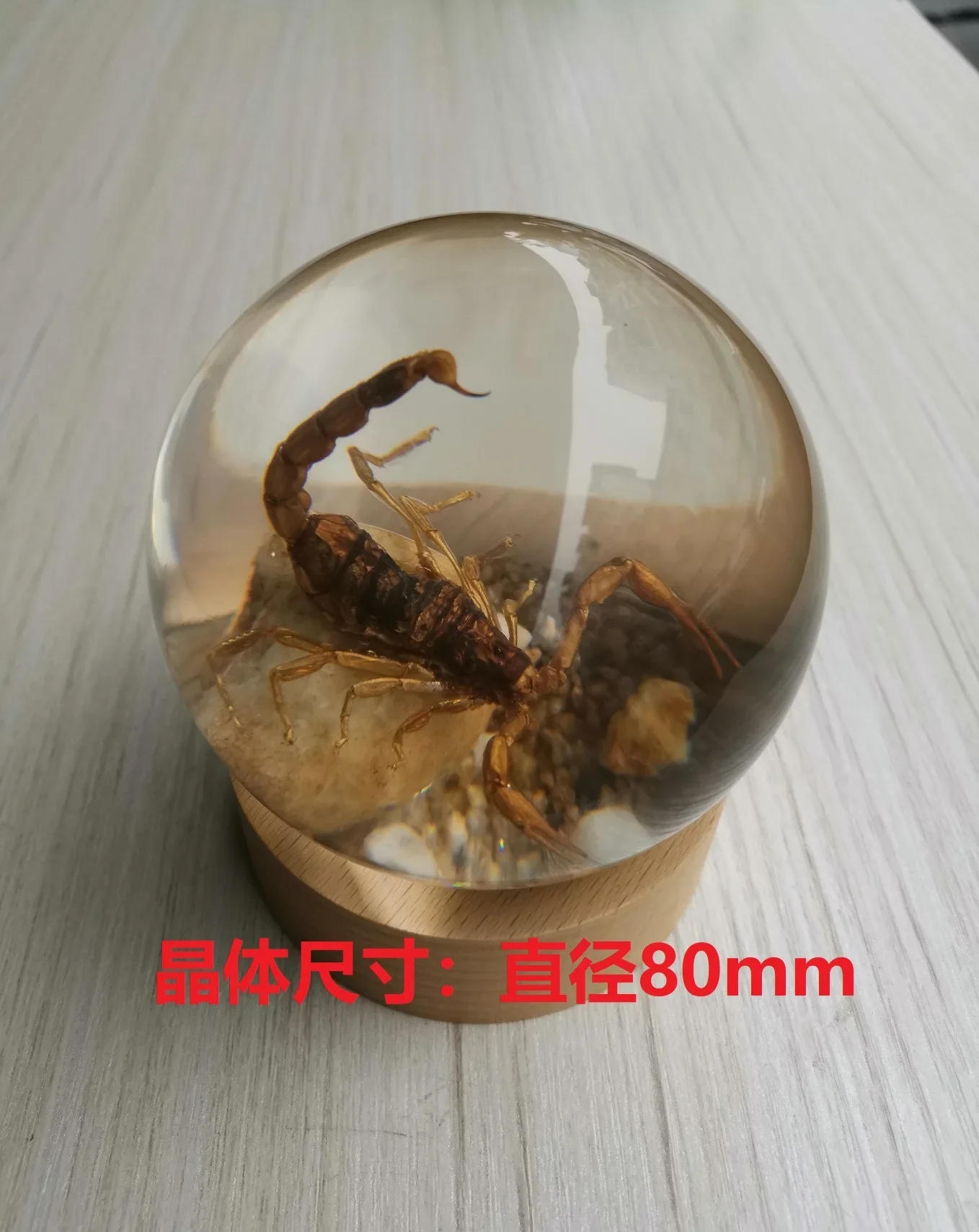 S690581c560544ab09d9f9319c1d3d4b3E.jpg