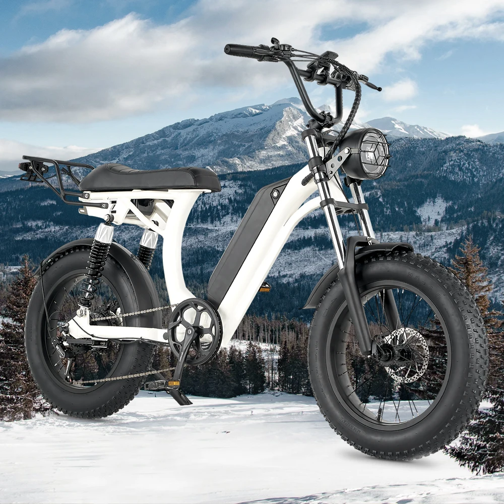 Ebike S1 Bike 750W 48V 16AH Men's/Ladies 7-speed 20-inch Off-Road City ...