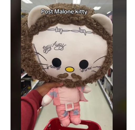 24cm Hello Kitty Travis Scotted Plush Cartoon Wayne Singer Cat Plushines Stuffed Soft Collection ...