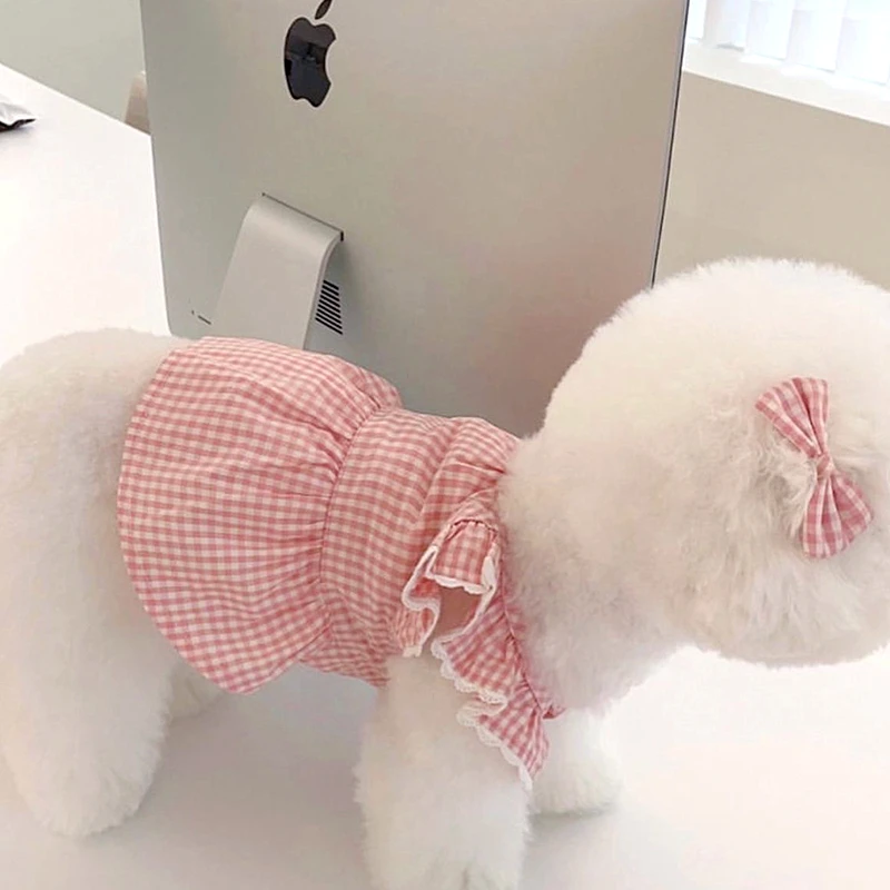 Chiffon Dress – Lovely Princess Style – DogMega.Com