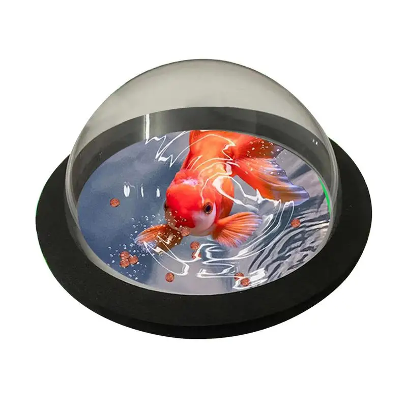 Aquarium-Floating-Plant-Ring-Dome-Shape-Fish-Tank-Plant-Ring-Aquarium ...