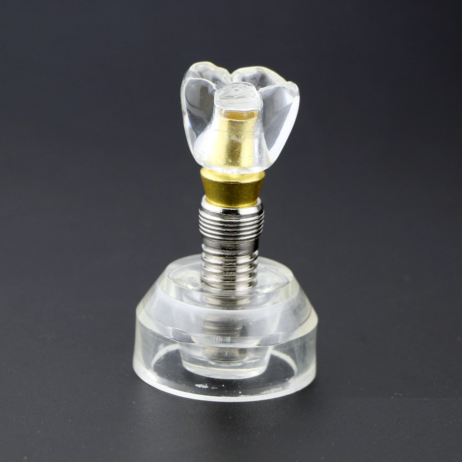 Dental-M2020C-Typodont-Implant-Model-Removable-Teeth-Demo-2-5x-Size ...