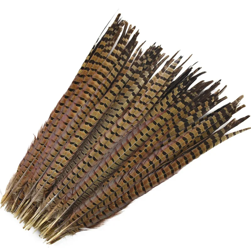 Natural-Ringneck-Penas-De-Fais-o-Para-Artesanato-Extens-es-De-Cabe-a ...