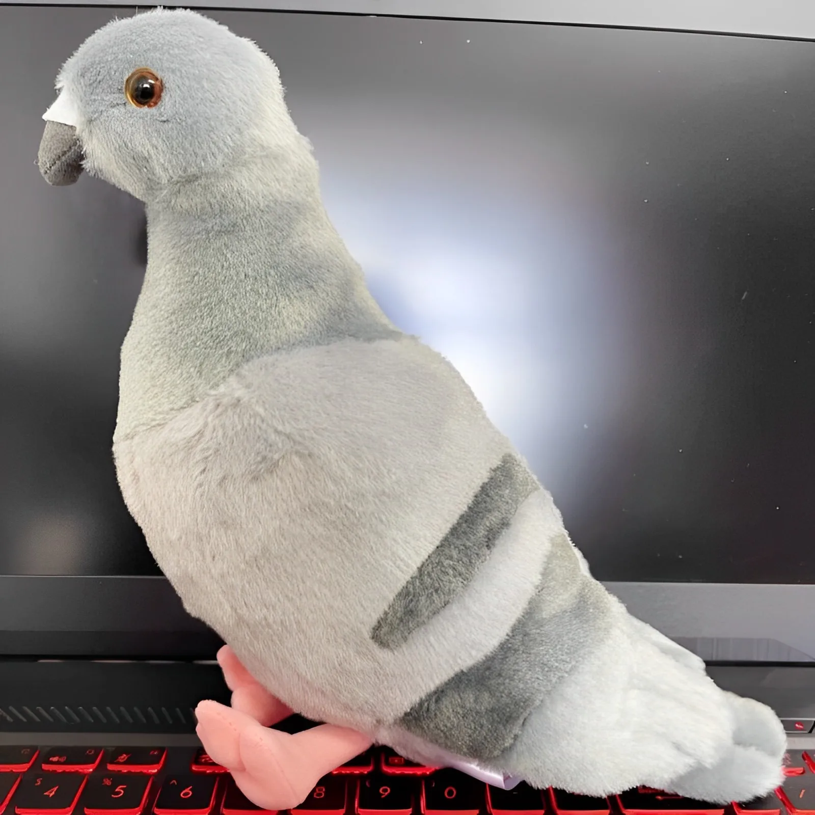 Carrier Pigeon Letter