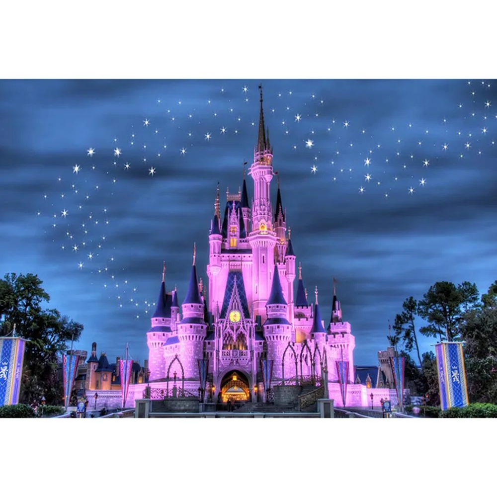 Disneyland Castle Background