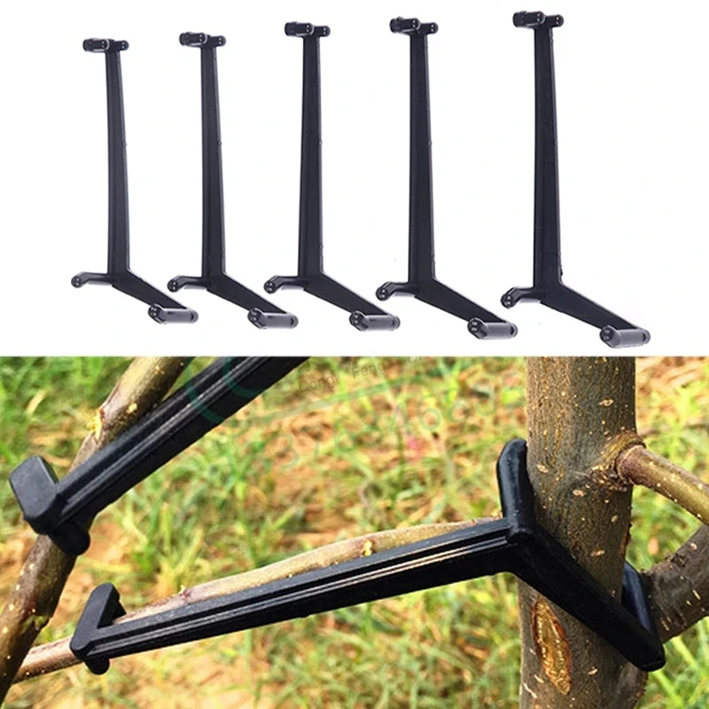 10Pcs-Fruit-Tree-Branches-Holder-Fruit-Branch-Spreader-Tree-Branch ...