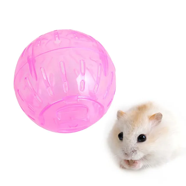 Dwarf Hamster Ball