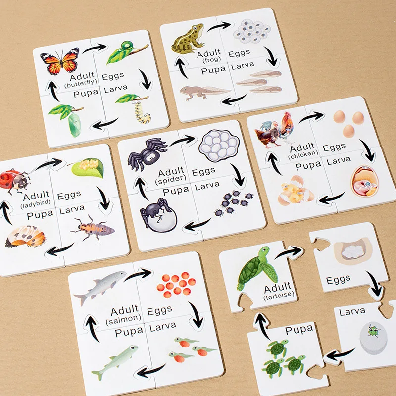 Wooden-Montessori-Toys-Life-Cycle-Puzzle-Board-Biology-Science ...