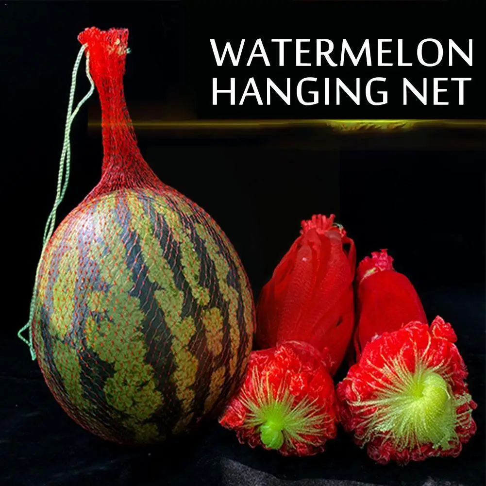 Net-Bag-Hanging-Watermelon-In-Greenhouse-With-Thick-Net-Red-Melon-Bag ...