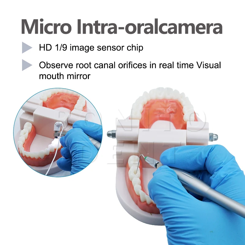 The Best Endo Scanner for Precision Root Canal Work – Real-World ...
