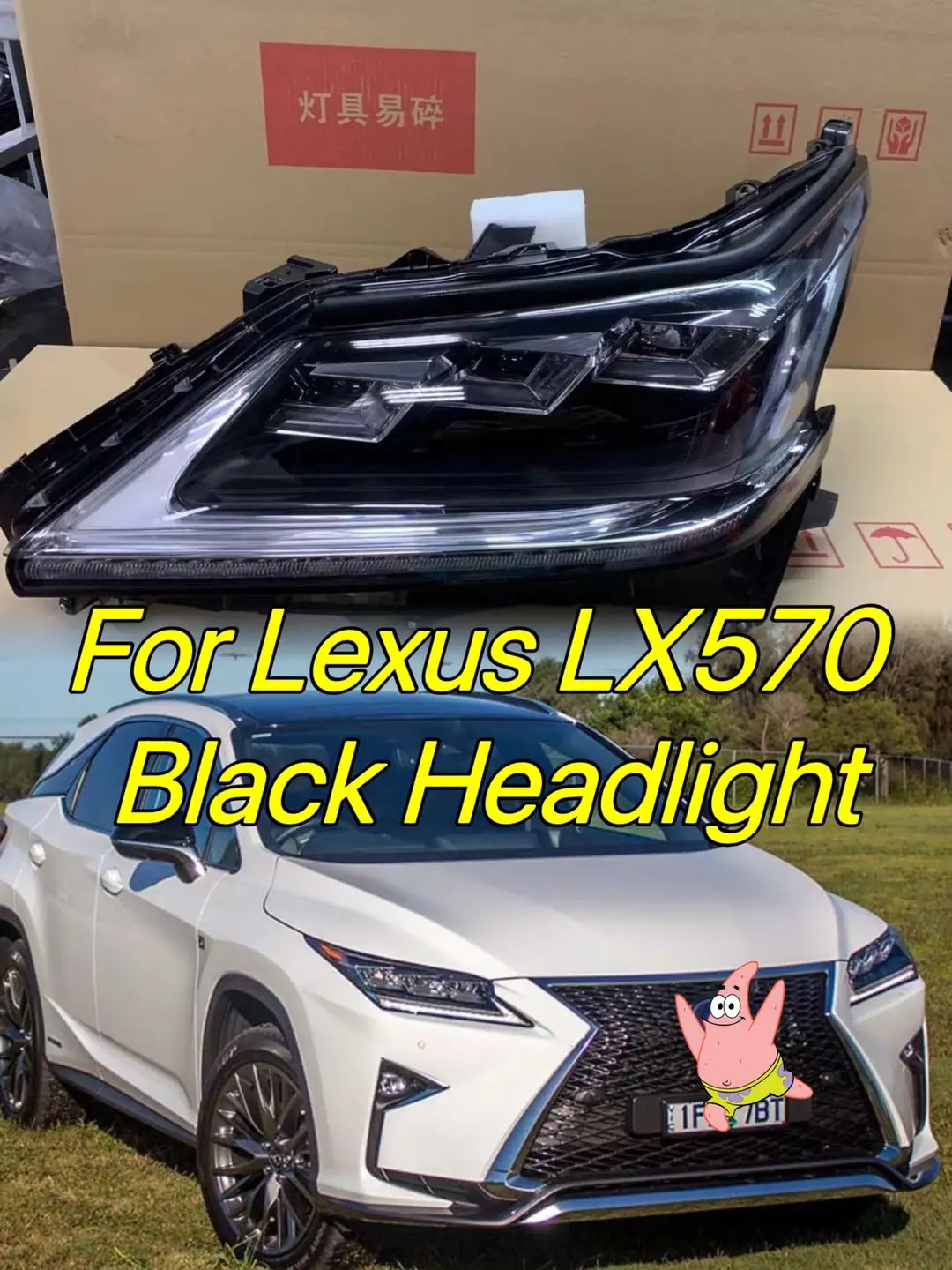 Lexus Headlight Assembly