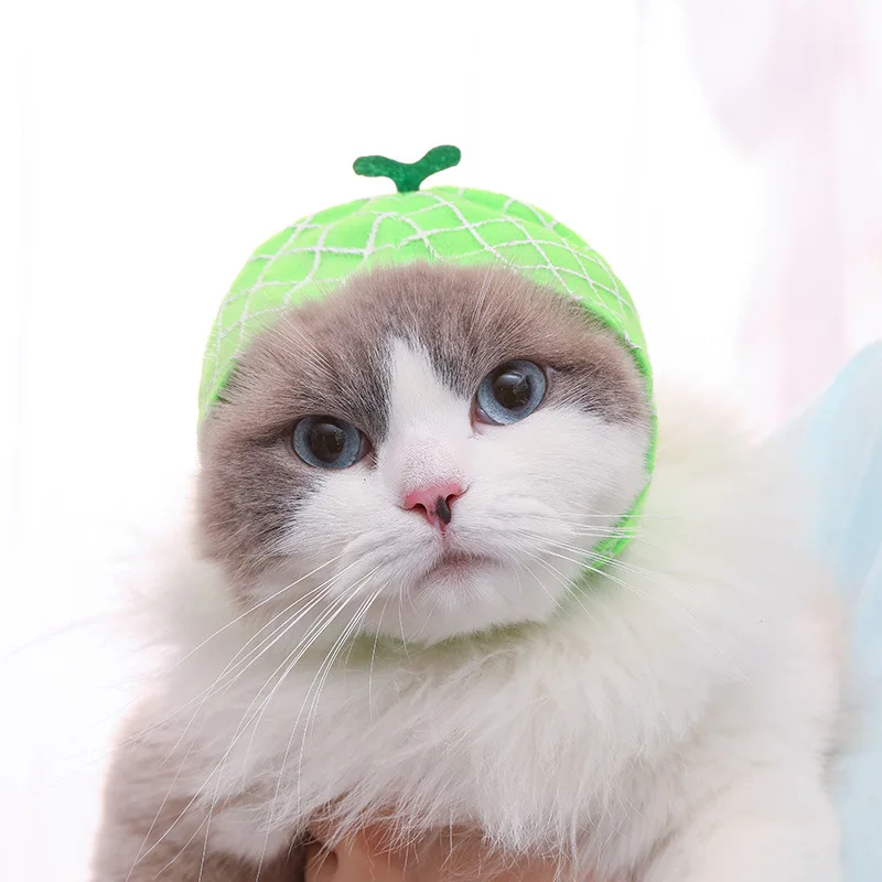 Watermelon Hat Cat