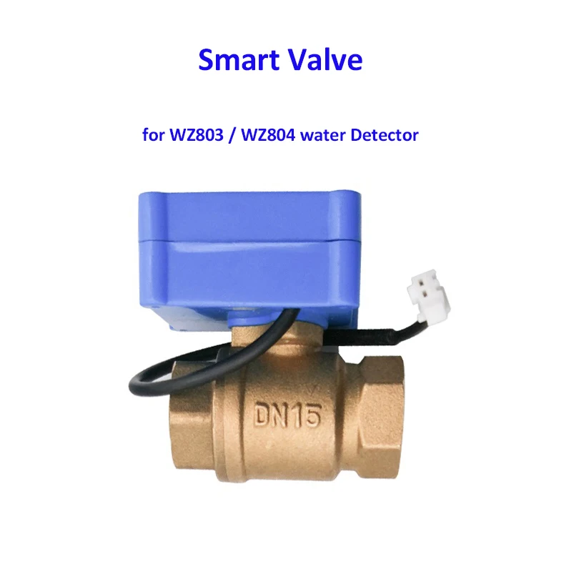 Water-smart-motorized-brass-valve-Shut-Off-DN15-1-2-for-pipe-water-stop-Use-for.jpg