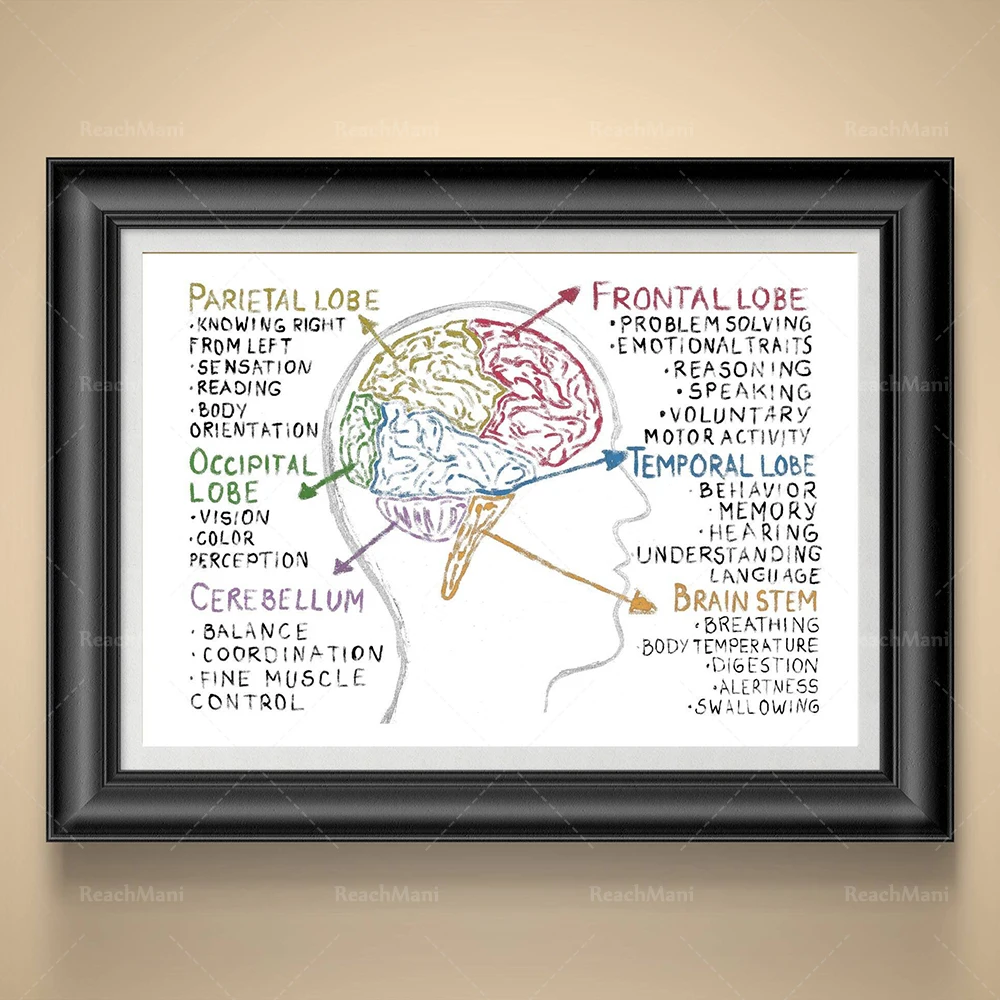 Psychology Brain Art