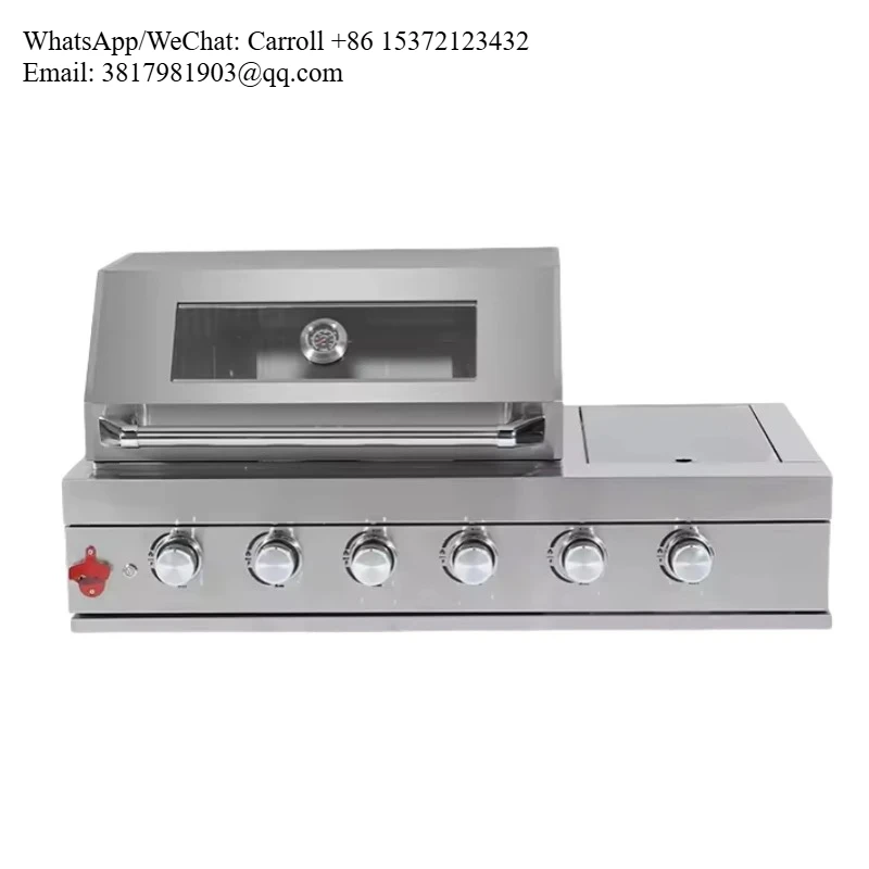 Professional 6 Burner Built In Gas Cooker With Oven And Grill For ...