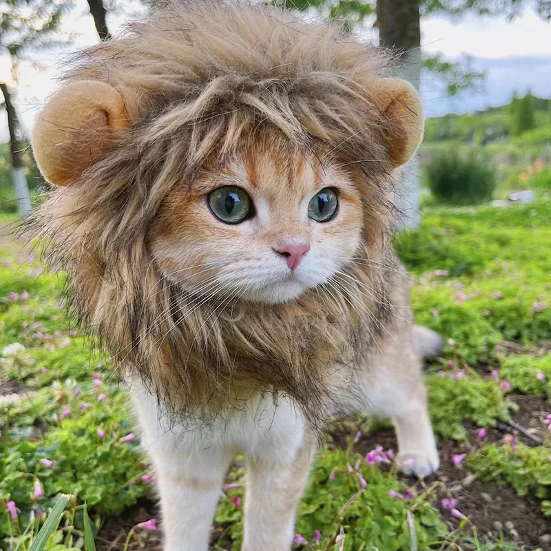 Cute Lion Mane Cat Wig Hat For Dogs And Cat Small Dog Pet Cat Decor ...
