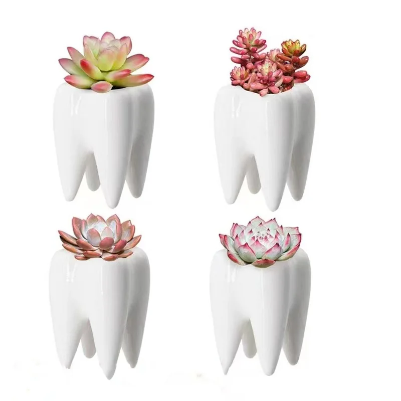 Ceramic Tooth Plant Pot | Ceramic Table Plant Pot | Ceramic Home ...