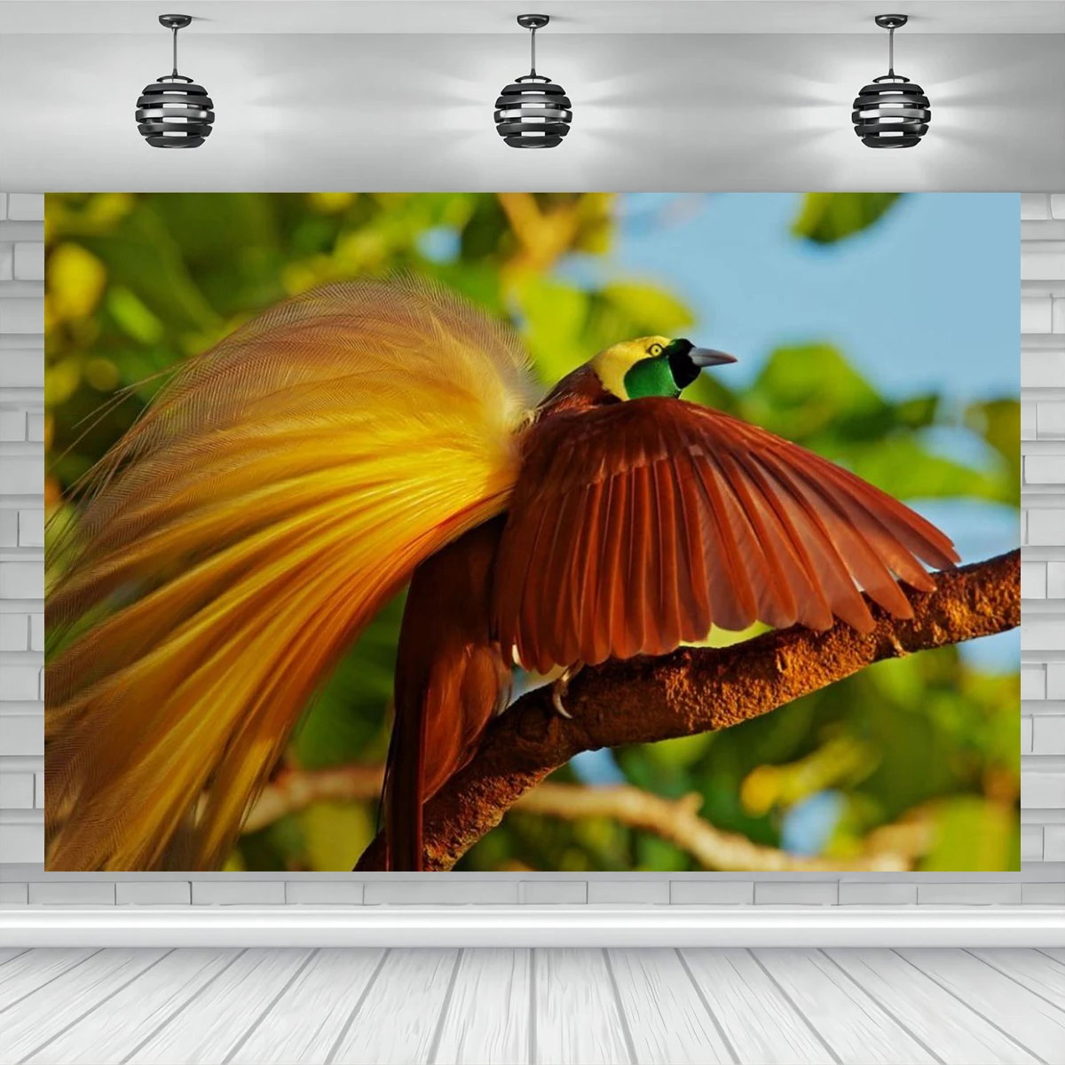 HKFZ Vinyl Colorful Birds Backdrop Forest Photography Nature World ...