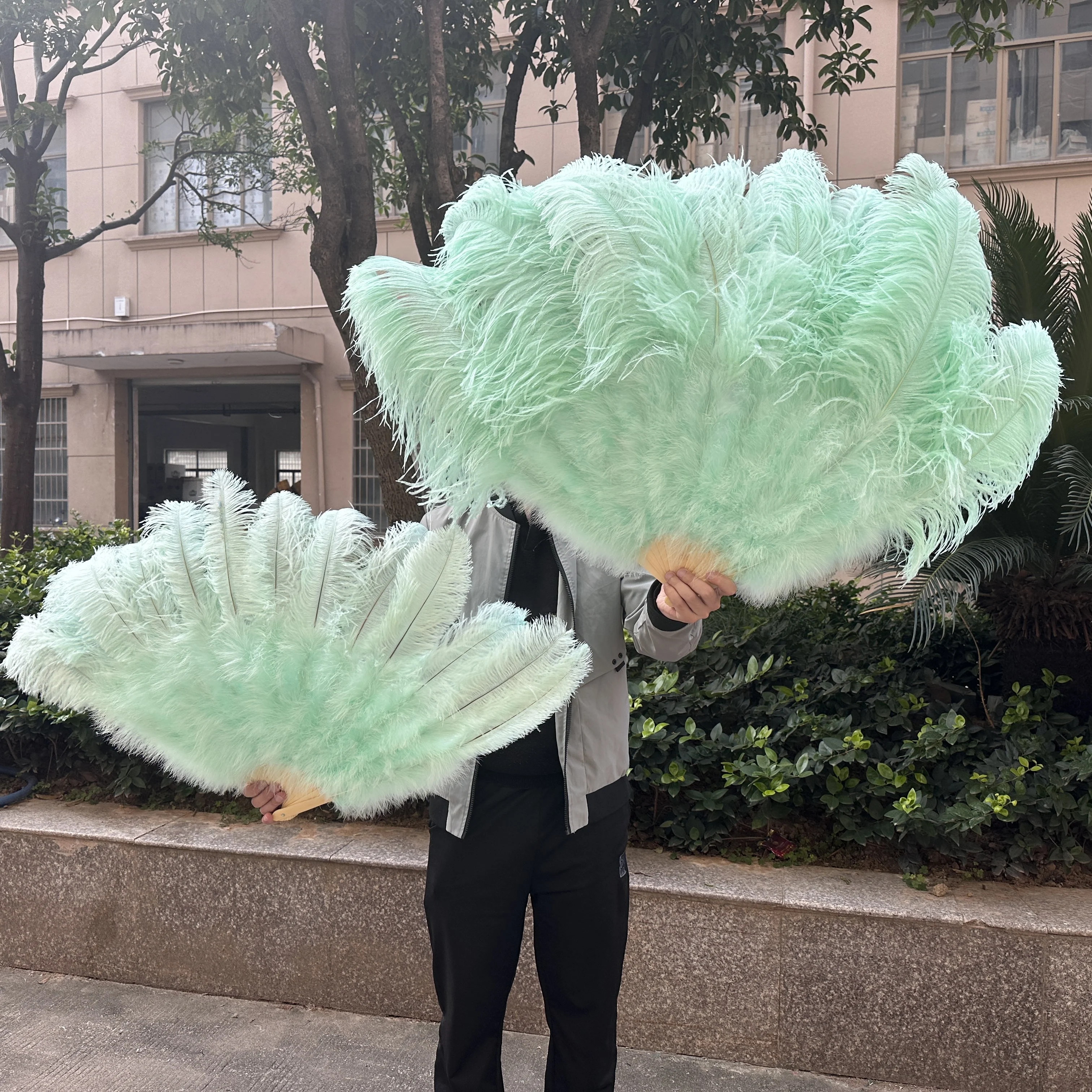 2PCS Natural Ostrich Feather Hand Fans for Stage Performance Dancer ...
