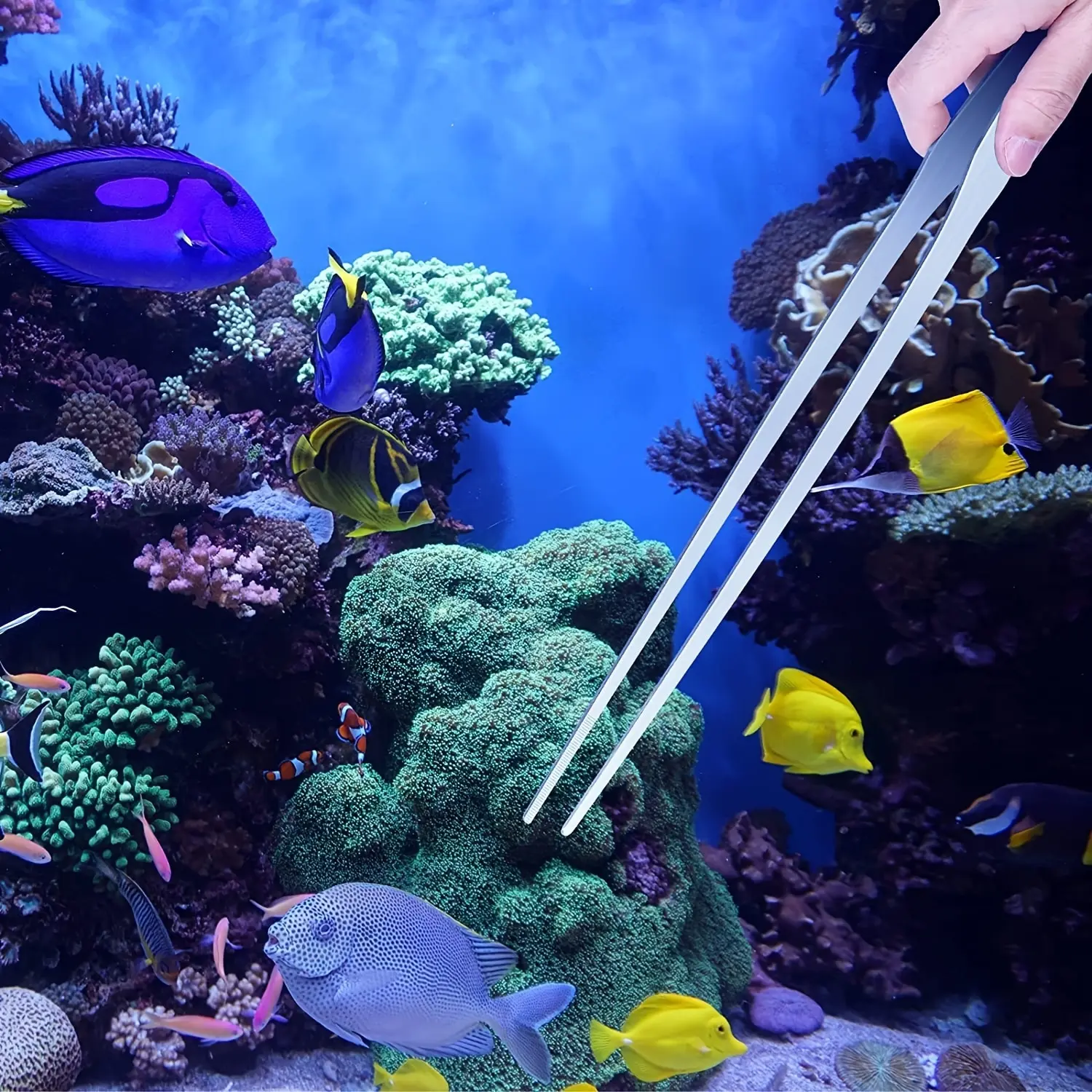 Store Home Products Sale Feedback