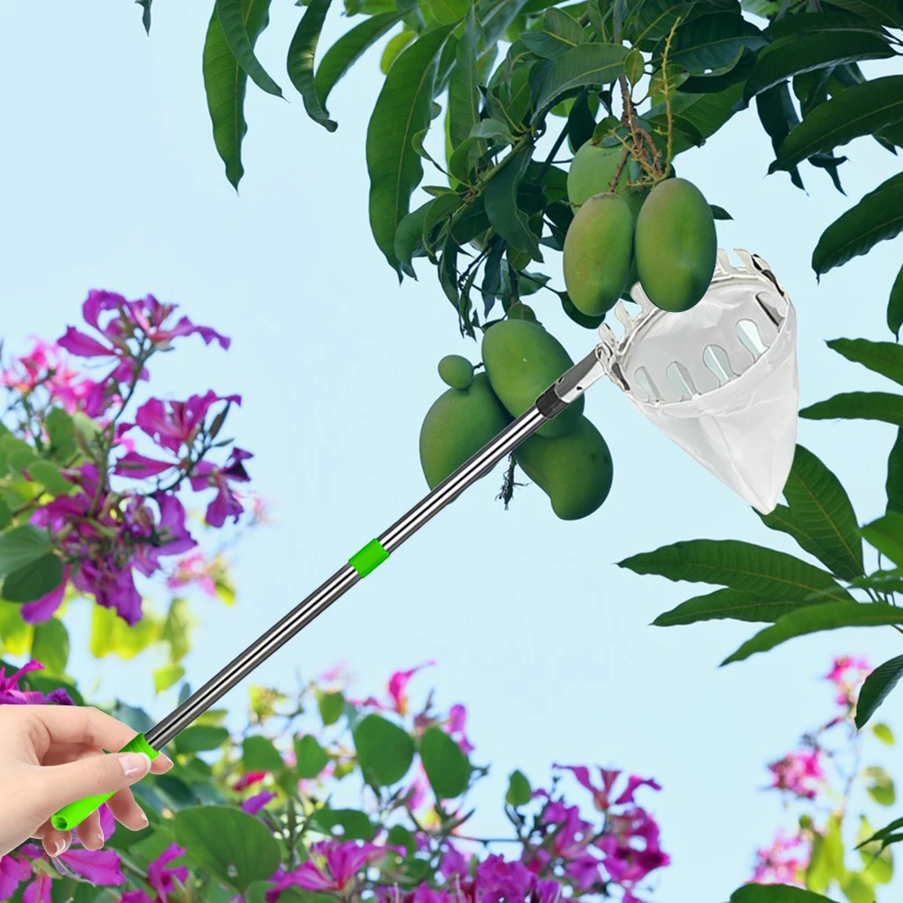 Fruit Picker Pole W/ Storage Bag Stainless Steel Pole Fruits Picker ...