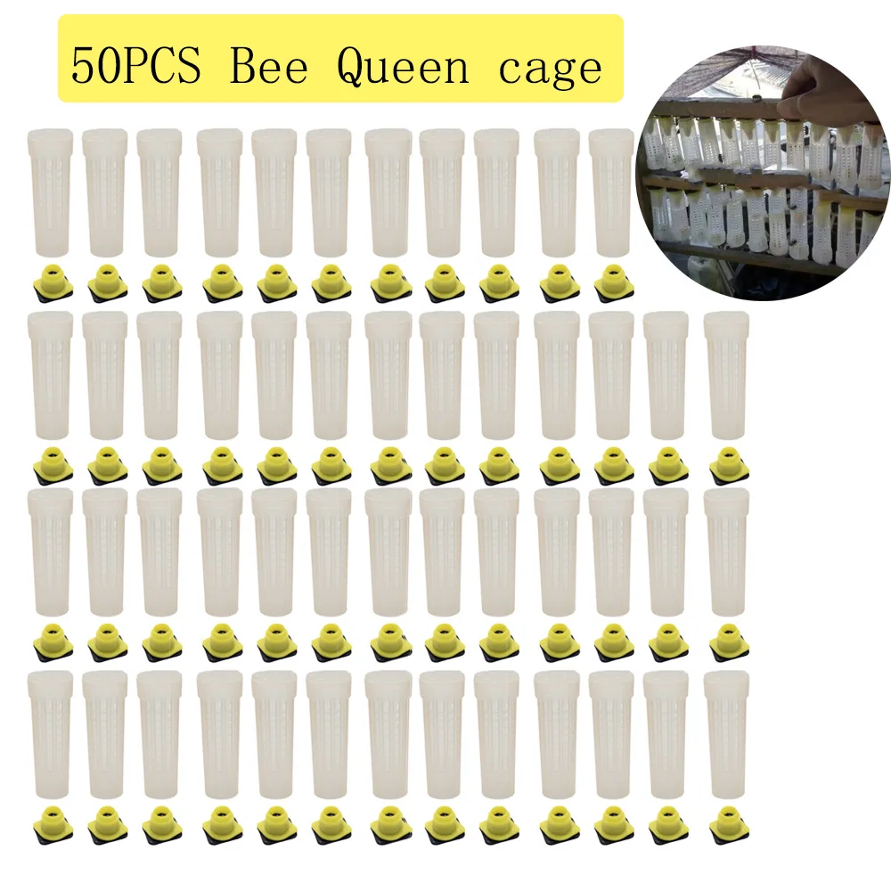 50PCS-Nicot-Bee-Hair-Roller-Queen-Cages-Plastic-Protective-Sealed-Cell ...