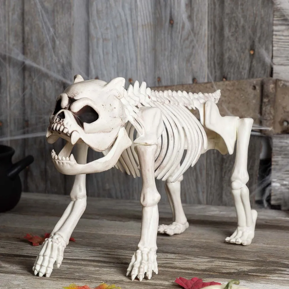 Dog Skeleton Halloween