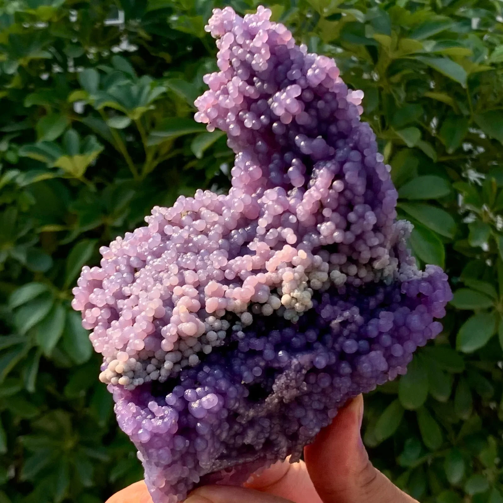 Rare Beautiful Natural Grape Agate Crystal Specimen Healing Quartz ...