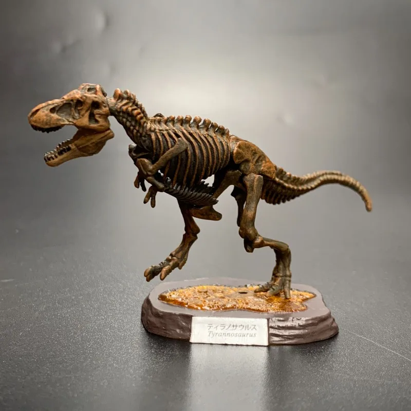 Figura-de-esqueleto-de-dinosaurio-modelo-de-Tiranosaurio-slrex-adornos ...