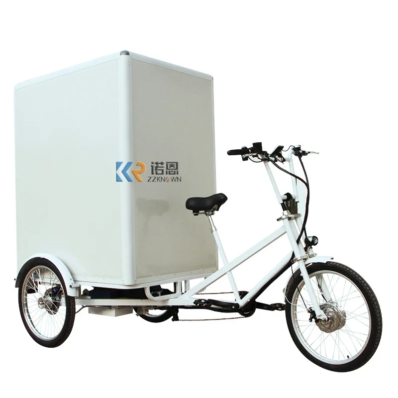 Electric Cargo Trike