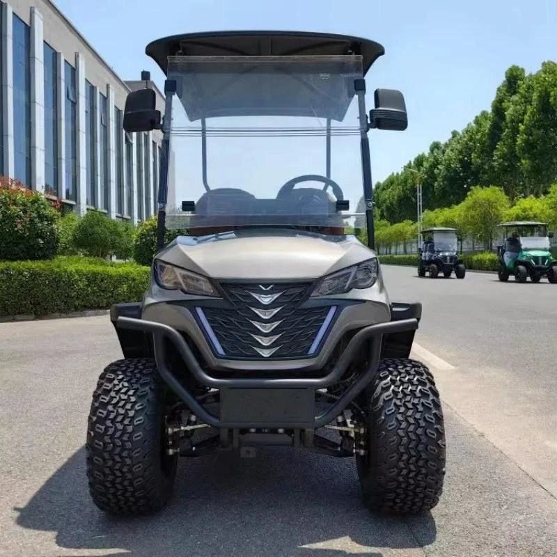 30km-h-Fast-Speed-Off-Road-Lifted-Golf-Cart-2-4-6-Seater-Electric-Golf ...