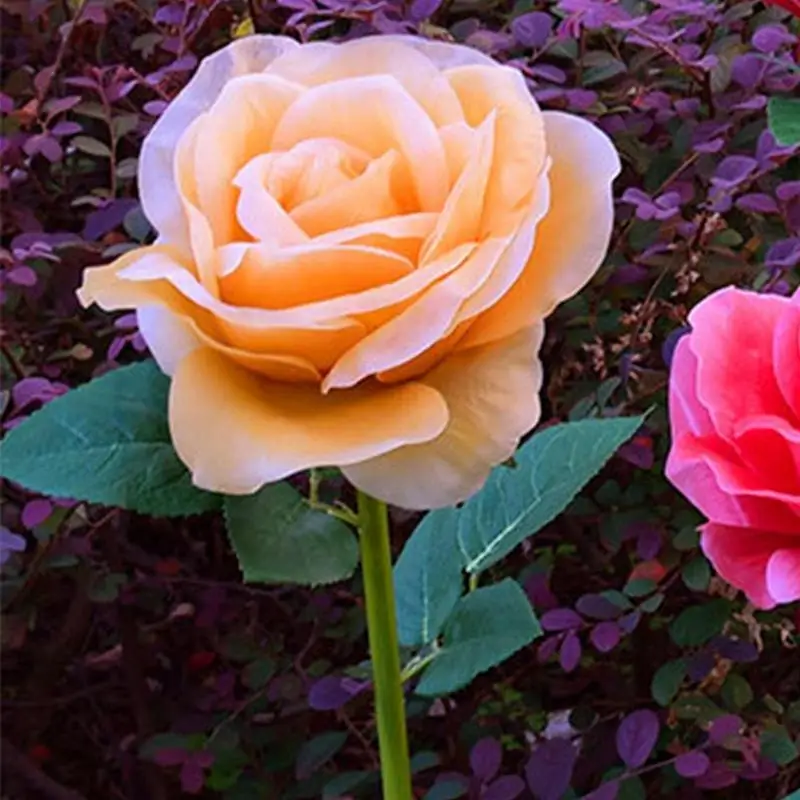 Solar Rose Flower Lights Outdoor Solar Garden Stake Lights Waterproof ...