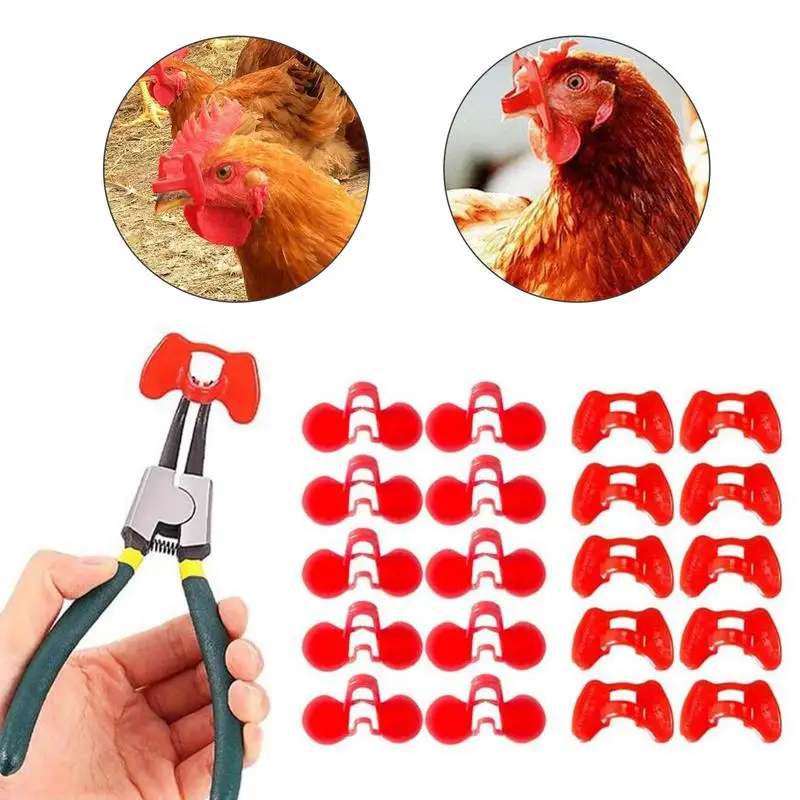 100PCS Pinless with Pliers Set Chicken Glasses Poultry Blinders Chicken ...