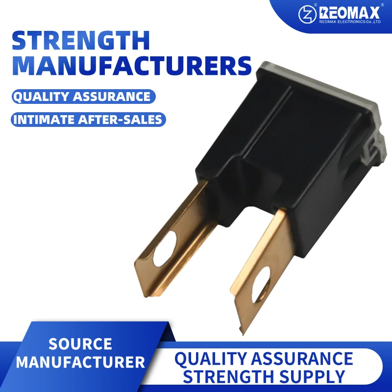 Auto (Car) Fuse Large-Size Insert External Fast-Acting 20A 30A 40A 50A ...