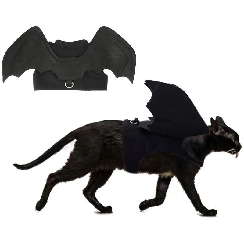 S6ae717020ff4451fbc6dc6ea1d923f6cY.png