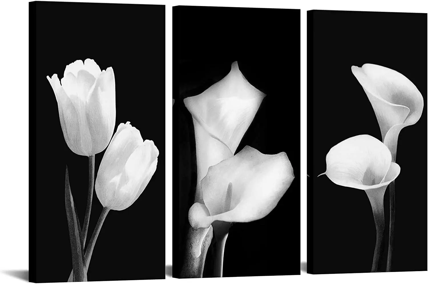 Lukisan Bunga Tulip Hitam Putih